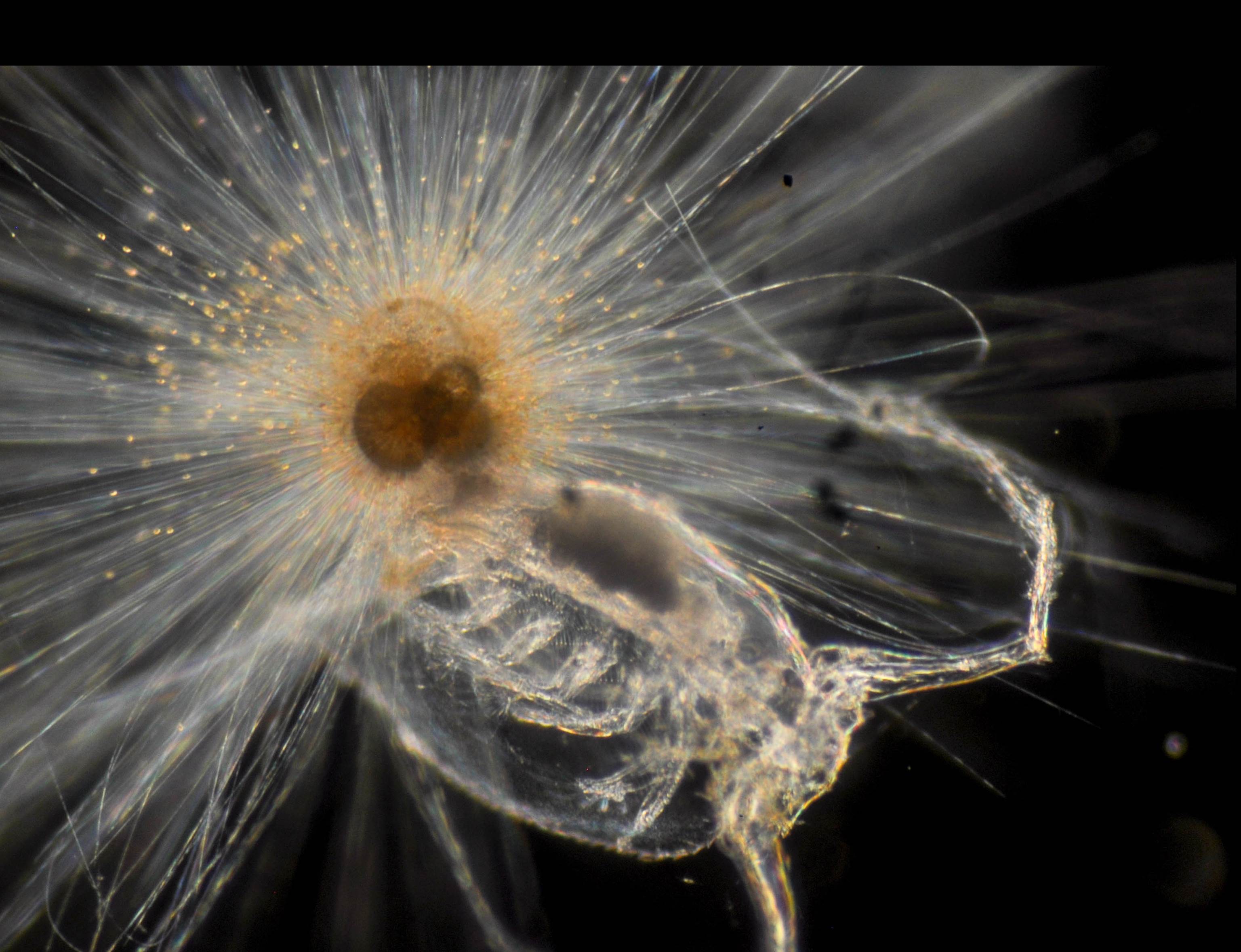 Newsroom - Macquarie University