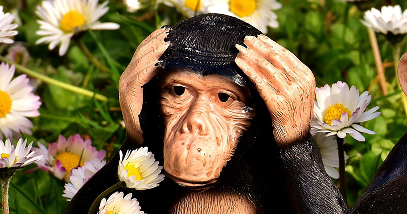 Hear not: six new hearing insights from the Australian Hearing Hub ...