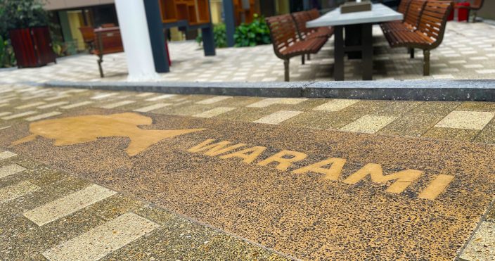 How we can all use Dharug dhalang every day | This Week At Macquarie ...